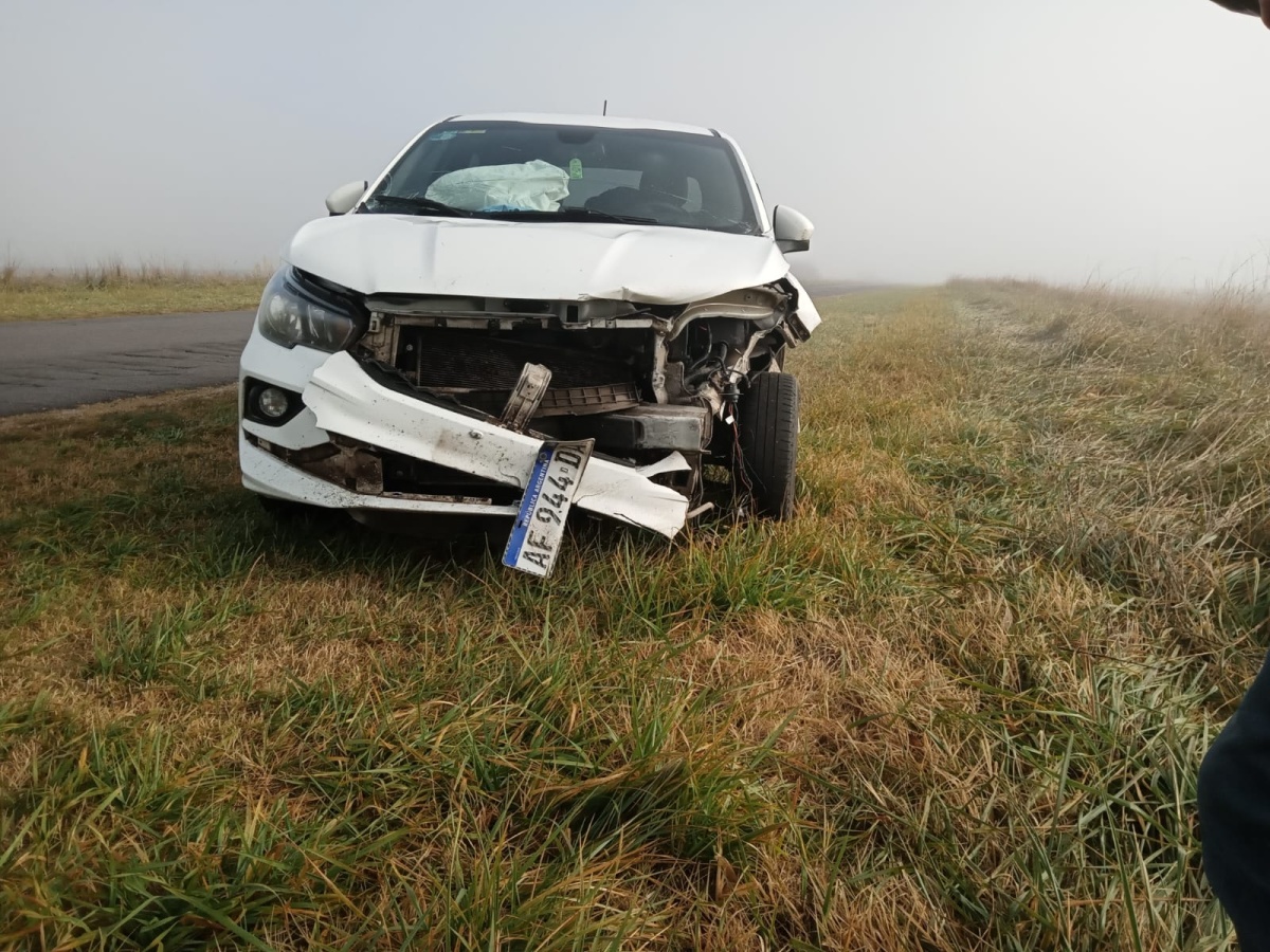 PRECAUCIÓN en la ruta 85 entre Coronel Suárez y Pasman por presencia de ...