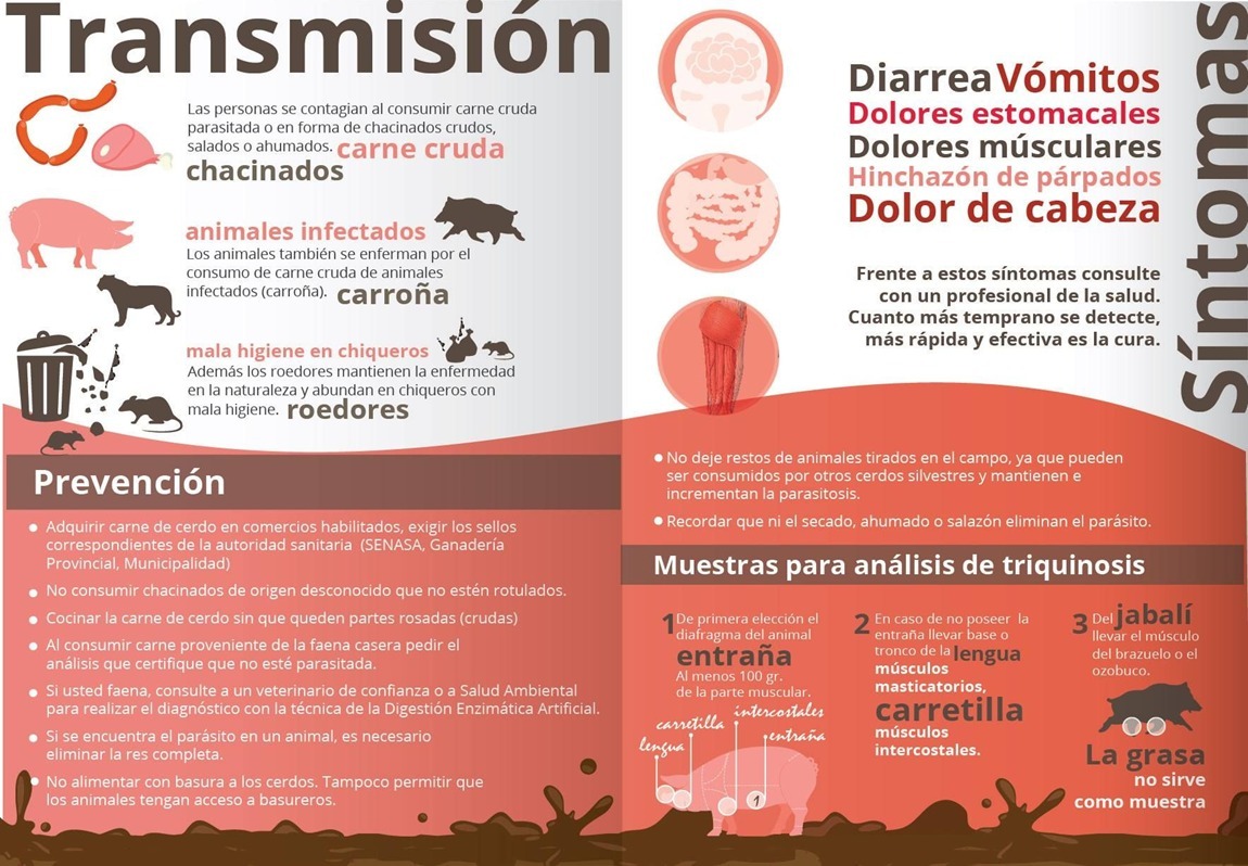 Importante: prevención de la triquinosis