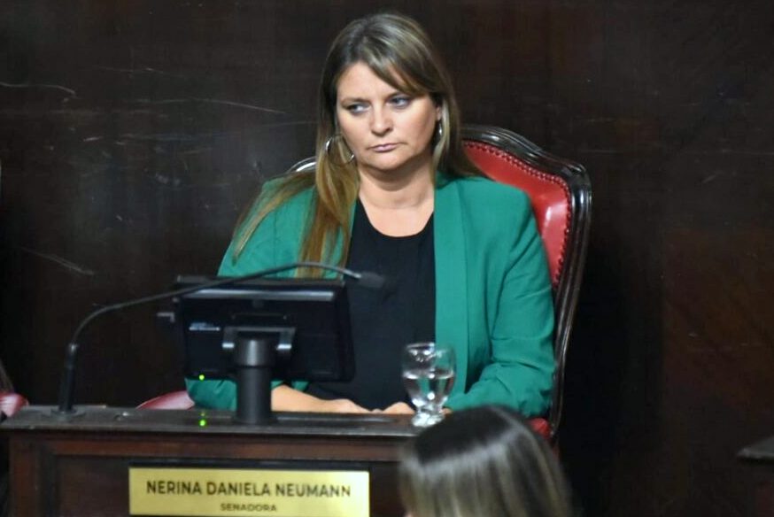 La senadora Nerina Neumann reclamó por los bajos montos del servicio ...