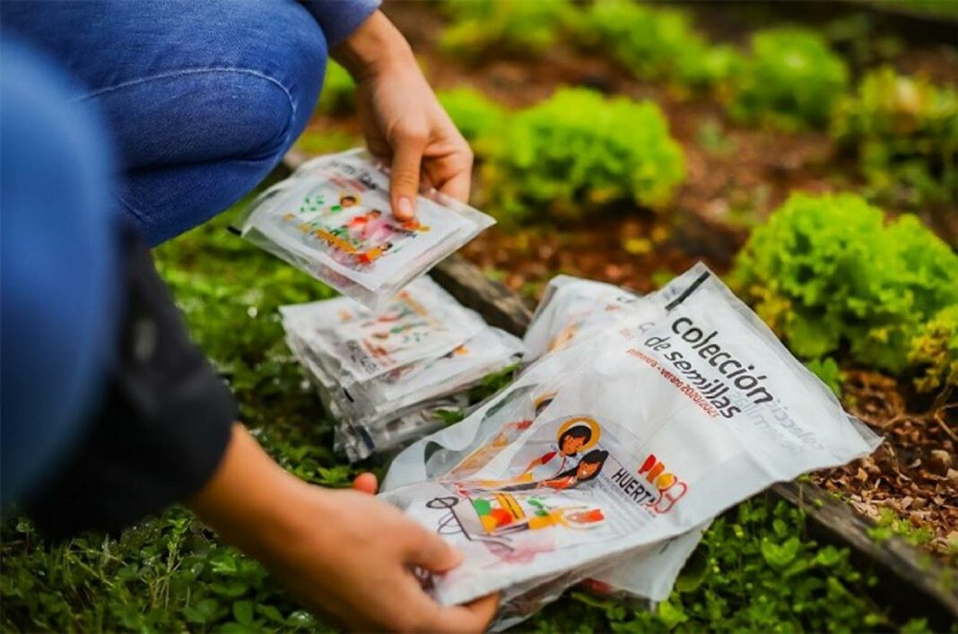 La provincia de Buenos Aires lanzó el programa Pro Huerta y marca la ...